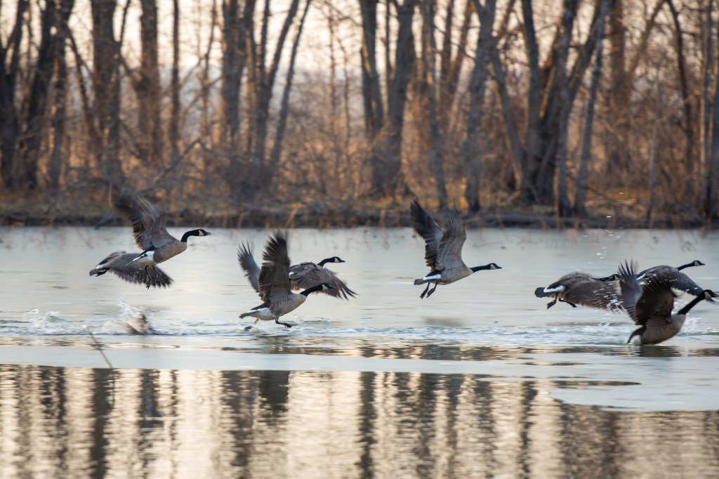 Spring Lake Campground – "Welcome To The Sanctuary"