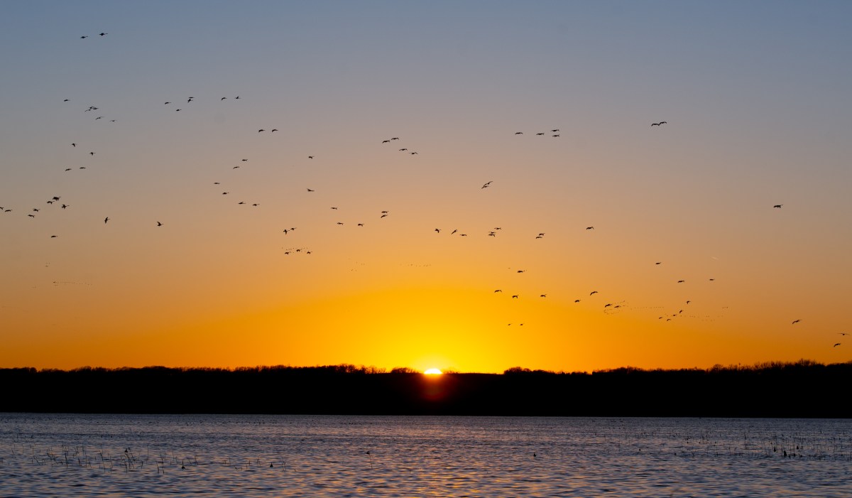 Spring Lake Campground – "Welcome To The Sanctuary"