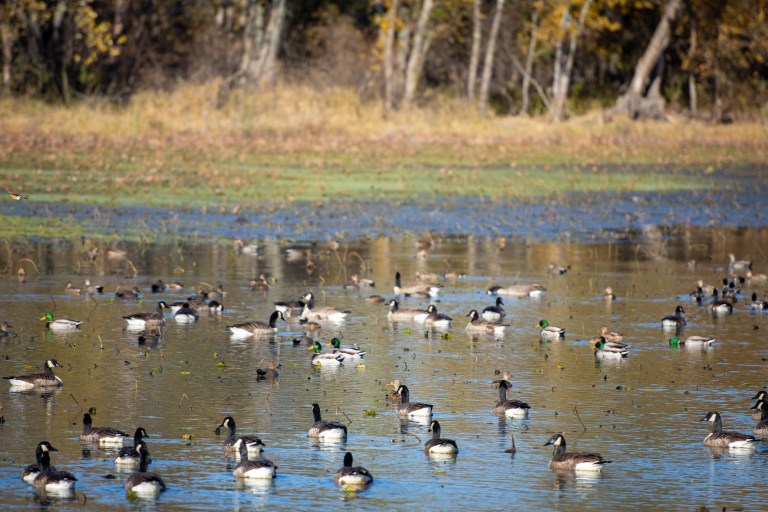 Spring Lake Campground – "Welcome To The Sanctuary"