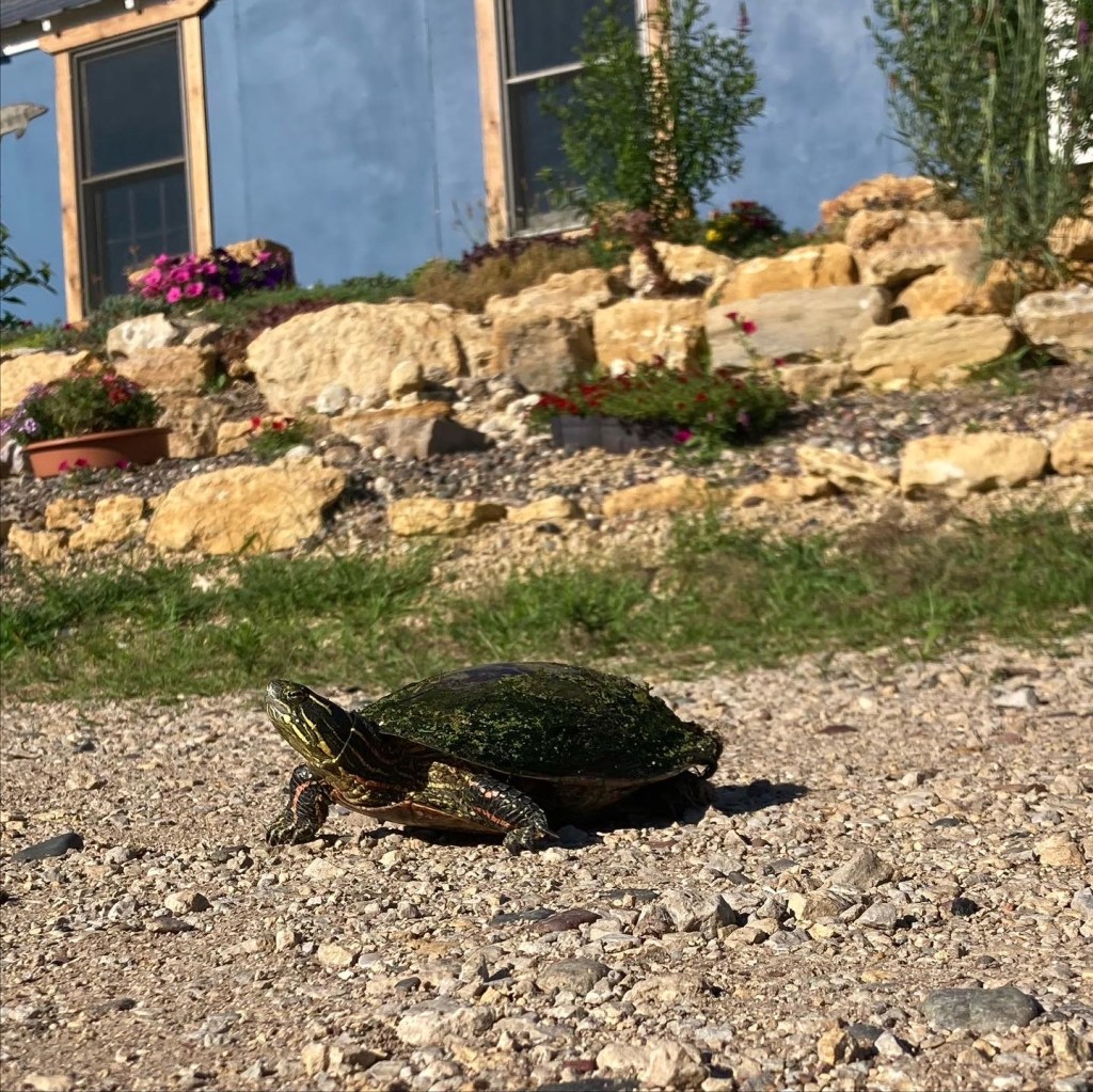 Book Your Site! – Spring Lake Campground