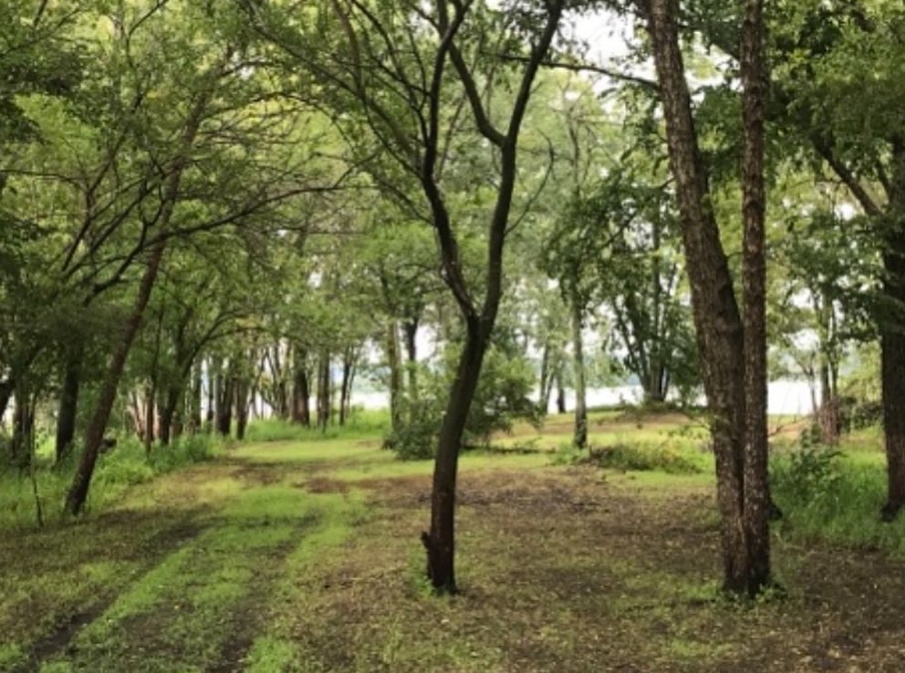 Book Your Site! – Spring Lake Campground